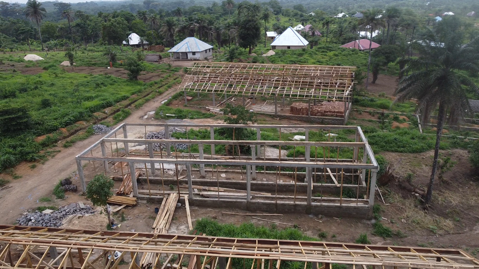 Maximizing Egg Production | Mulu Poultry Farm